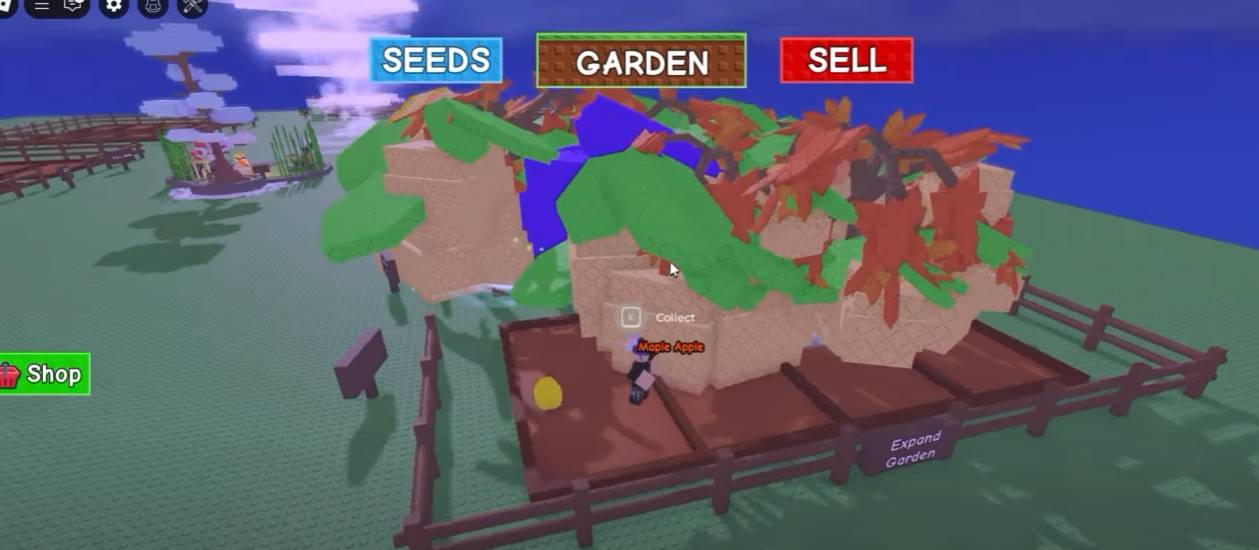 How to Easily Get Maple Apple Seed in Grow a Garden & How Much! – Roonby